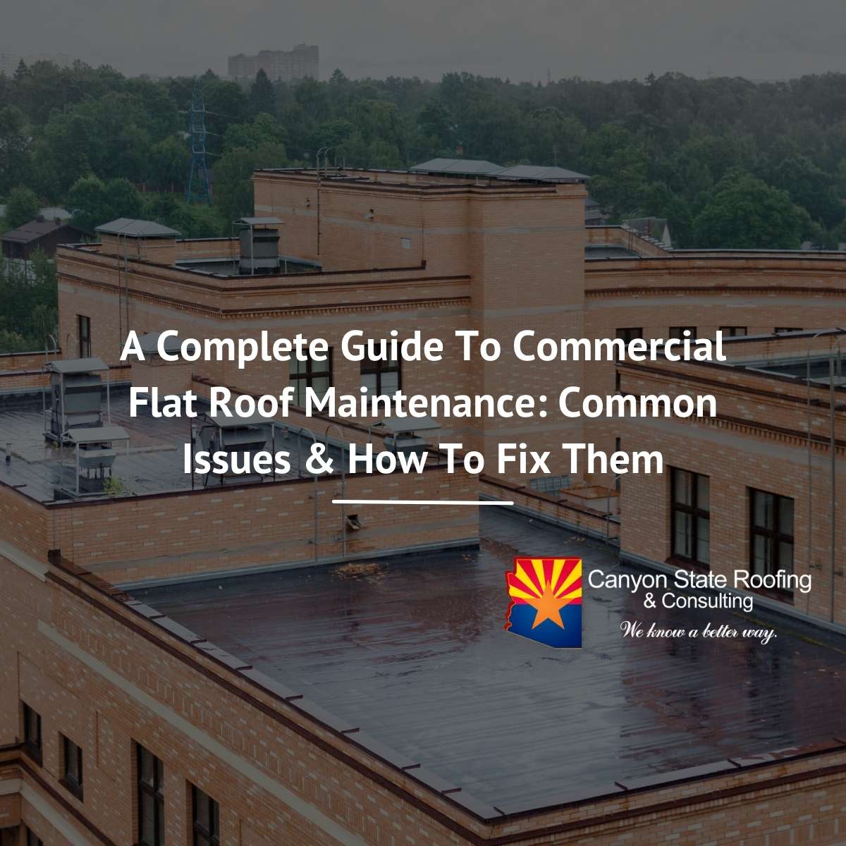 Commercial Flat Roof Maintenance: Issues & How To Fix Them